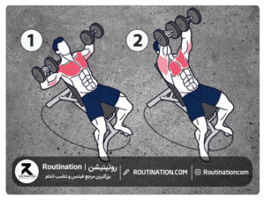 نحوه اجرای حرکت پرس بالا سینه دمبل | Routination